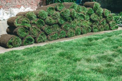 Reliable and Fast Sod Delivery for Lush Green Lawns